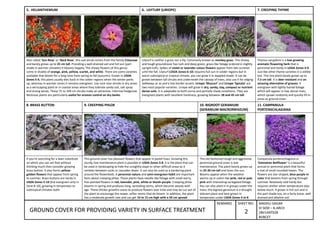 Ground cover for providing variety in surface treatment | PDF