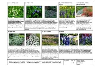 Ground cover for providing variety in surface treatment | PDF
