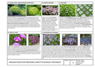 Ground cover for providing variety in surface treatment | PDF