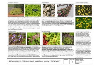 Ground cover for providing variety in surface treatment | PDF ...
