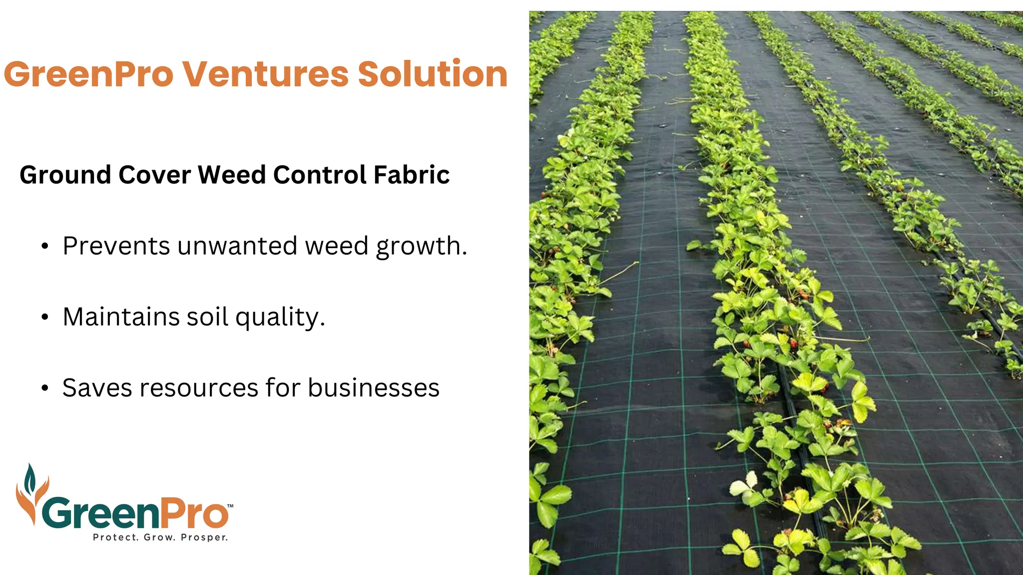 Advantages Of Ground Covers For Ground Control | PPTX