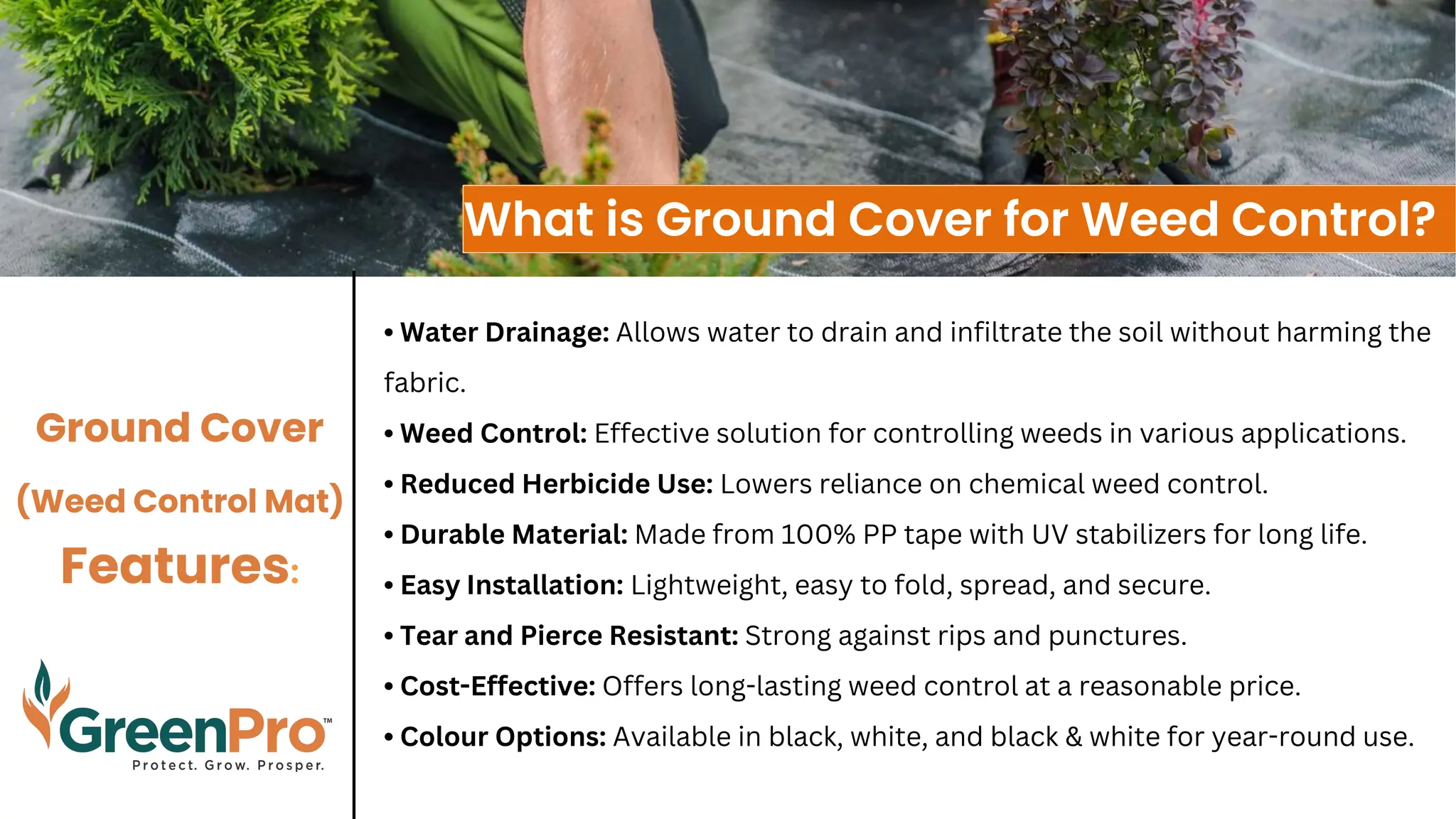 Advantages Of Ground Covers For Ground Control | PPTX
