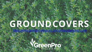 Advantages Of Ground Covers For Ground Control | PPTX