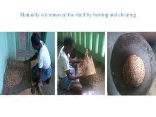 Groundnut | PDF