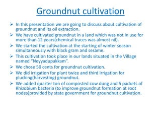 Groundnut | PDF