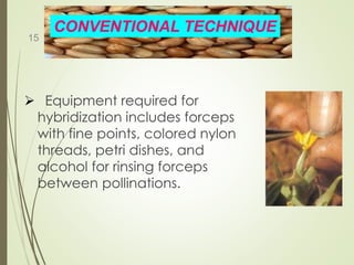 Groundnut | PDF