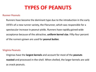 Groundnut | PPTX