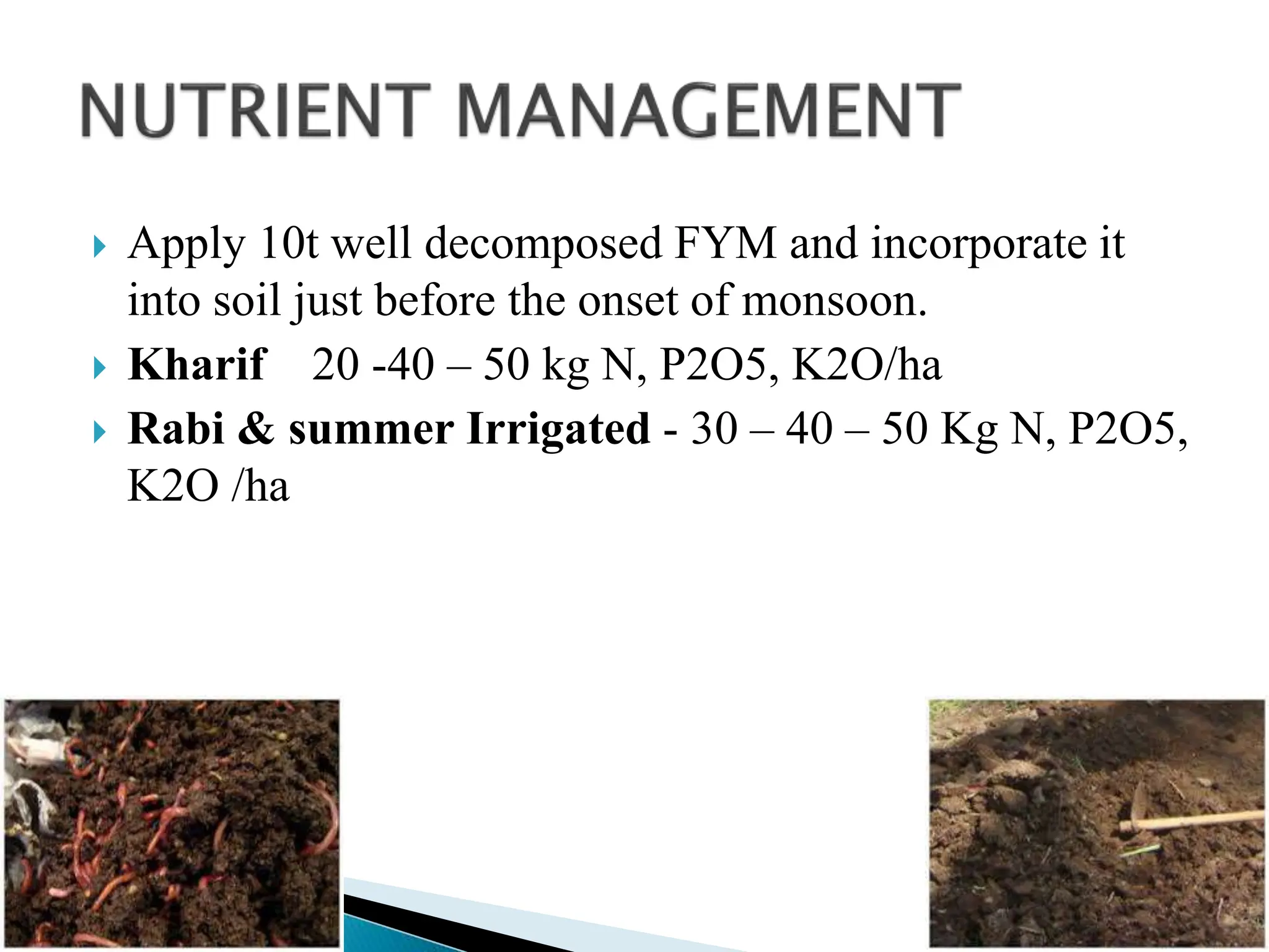 groundnut-210409060922.pdf