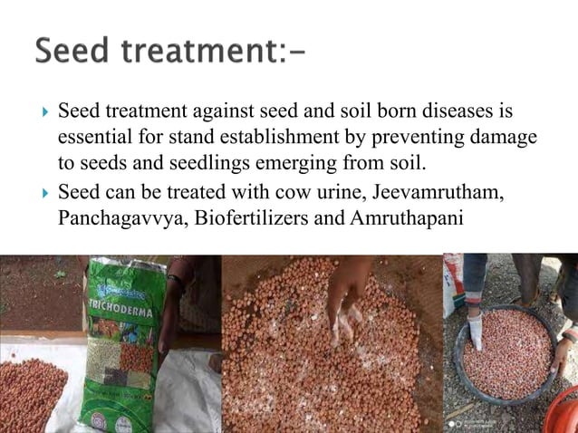 groundnut-210409060922.pdf