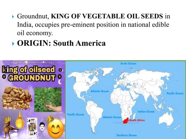 groundnut-210409060922.pdf