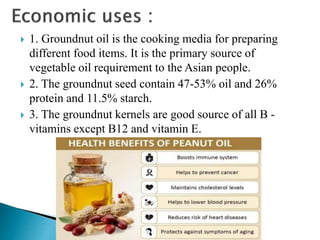 groundnut-210409060922.pdf