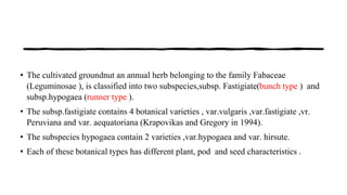 Origin, TAXONOMY, cytogenetics and evolution of arachis | PPTX