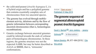 Origin, TAXONOMY, cytogenetics and evolution of arachis | PPTX