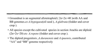 Origin, TAXONOMY, cytogenetics and evolution of arachis | PPTX