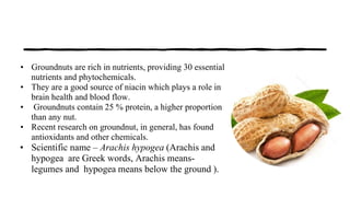 Origin, TAXONOMY, cytogenetics and evolution of arachis | PPTX