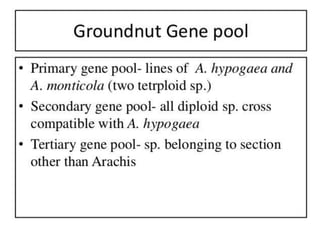 Introduction of Ground nut and their uses | PPTX