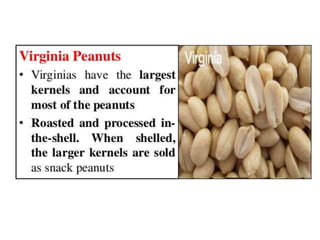 Introduction of Ground nut and their uses | PPTX