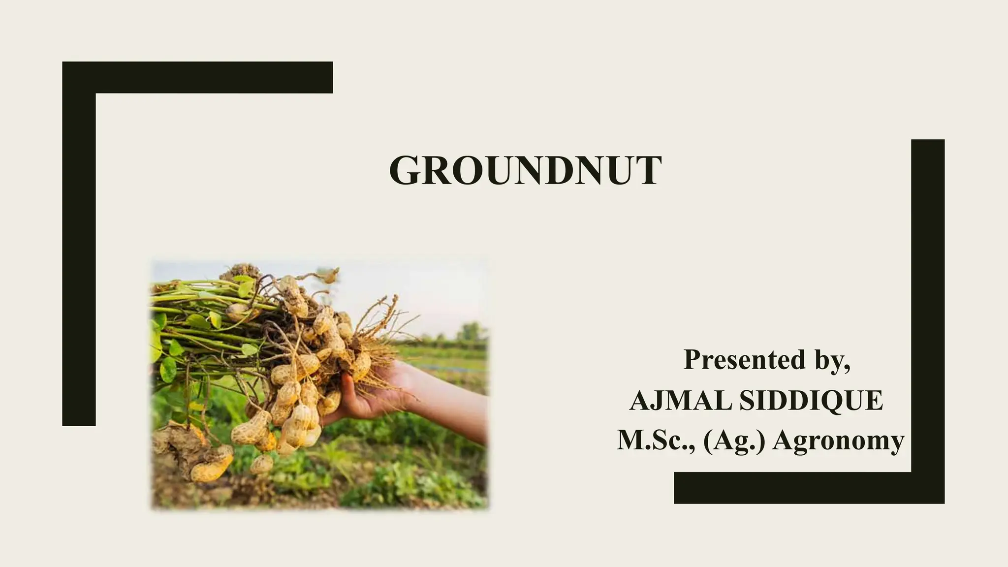 production technology of Groundnut .pptx