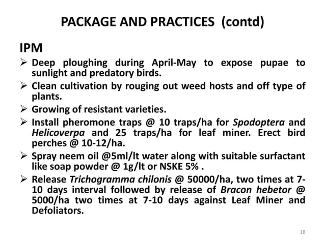 Groundnut_28-03-2017.pptx