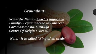 Groundnut Breeding PPt..pptx/Presentation/Introduction/Floral Biology ...
