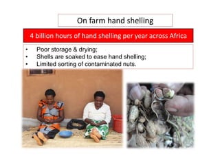 The impact of hand shelling in Malawi | PPTX | Agriculture | Industries