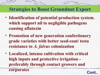 Groundnut Export Strategies | PPT
