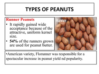 Groundnut final | PPTX