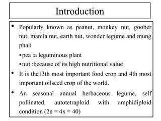 Groundnut final | PPTX