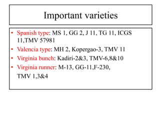 Groundnut final | PPTX