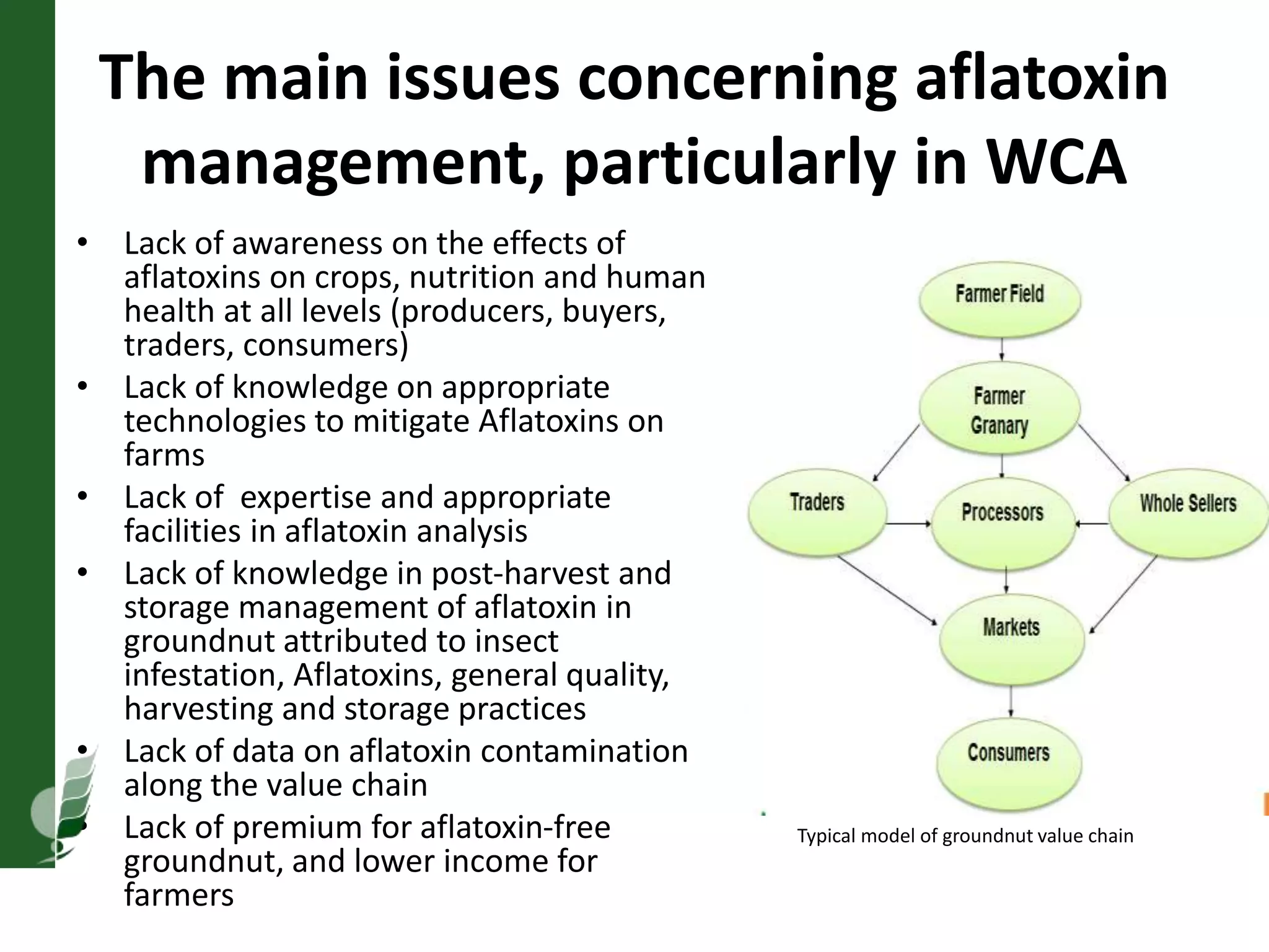 Management of aflatoxin contamination in groundnut – ICRISAT Approach | PPTX