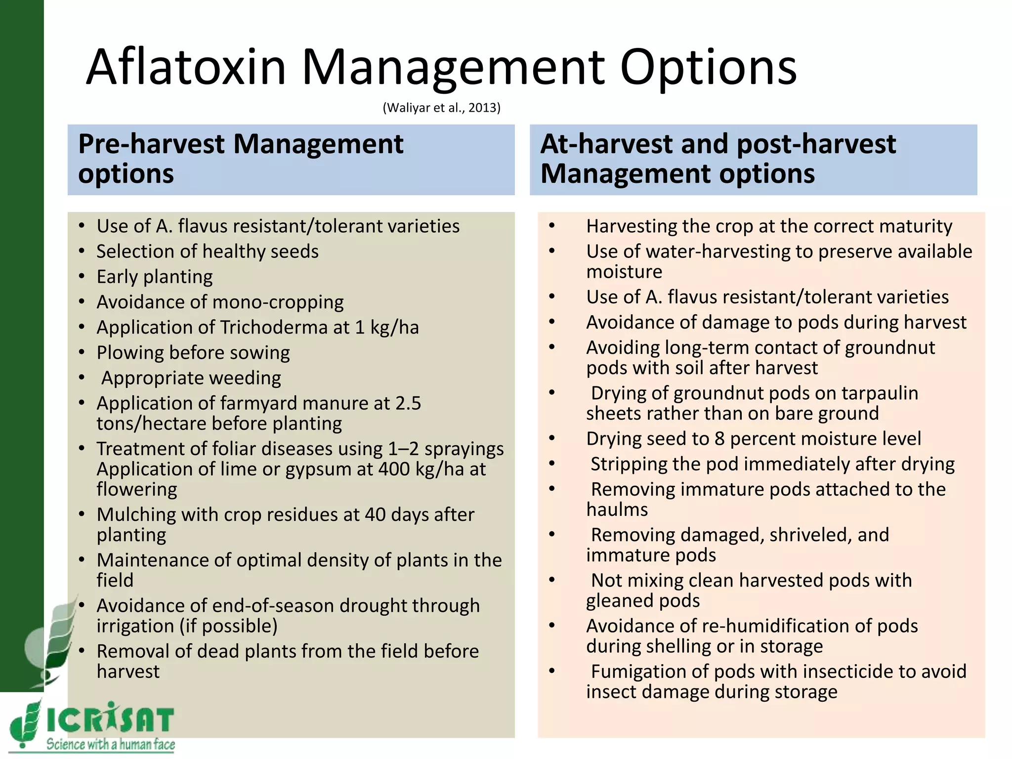 Management of aflatoxin contamination in groundnut – ICRISAT Approach | PPTX