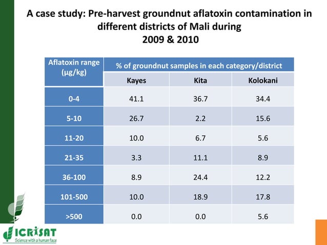 Management of aflatoxin contamination in groundnut – ICRISAT Approach | PPTX