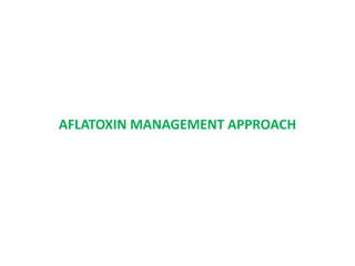 Management of aflatoxin contamination in groundnut – ICRISAT Approach | PPTX
