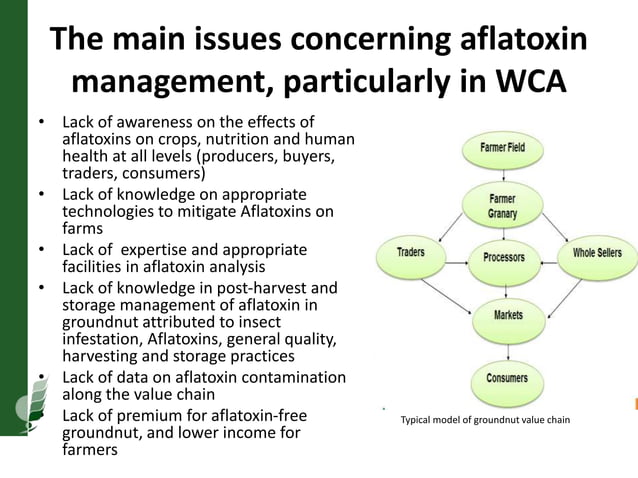 Management of aflatoxin contamination in groundnut – ICRISAT Approach ...