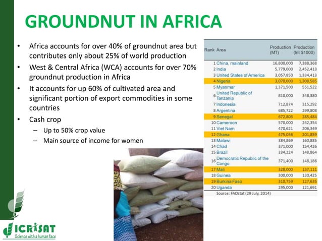 Management of aflatoxin contamination in groundnut – ICRISAT Approach | PPTX