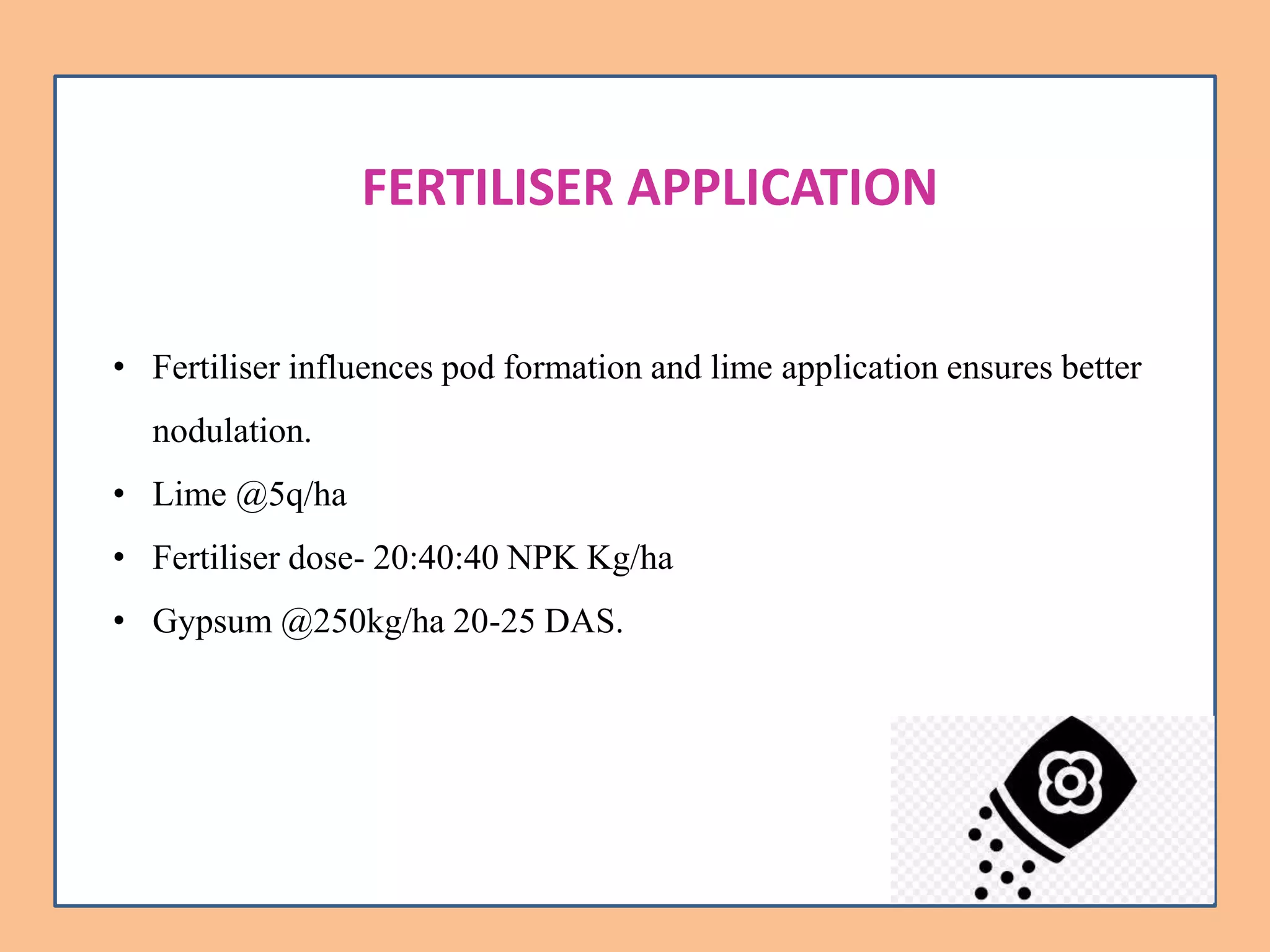 Seed Production in Groundnut ppt | PPTX