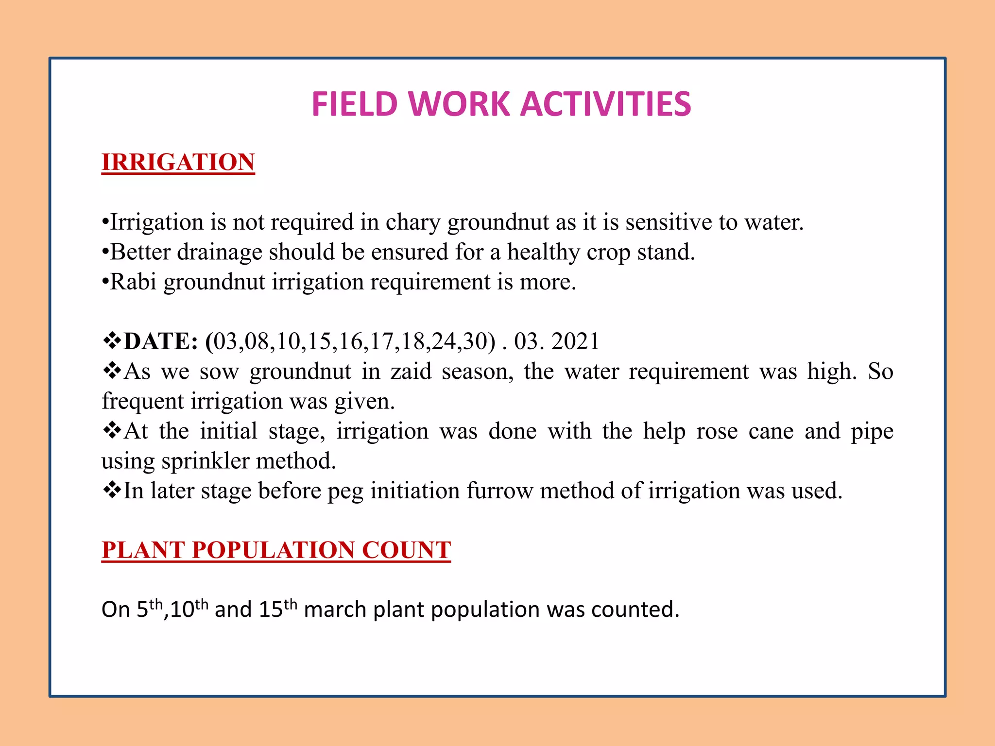 Seed Production in Groundnut ppt | PPTX