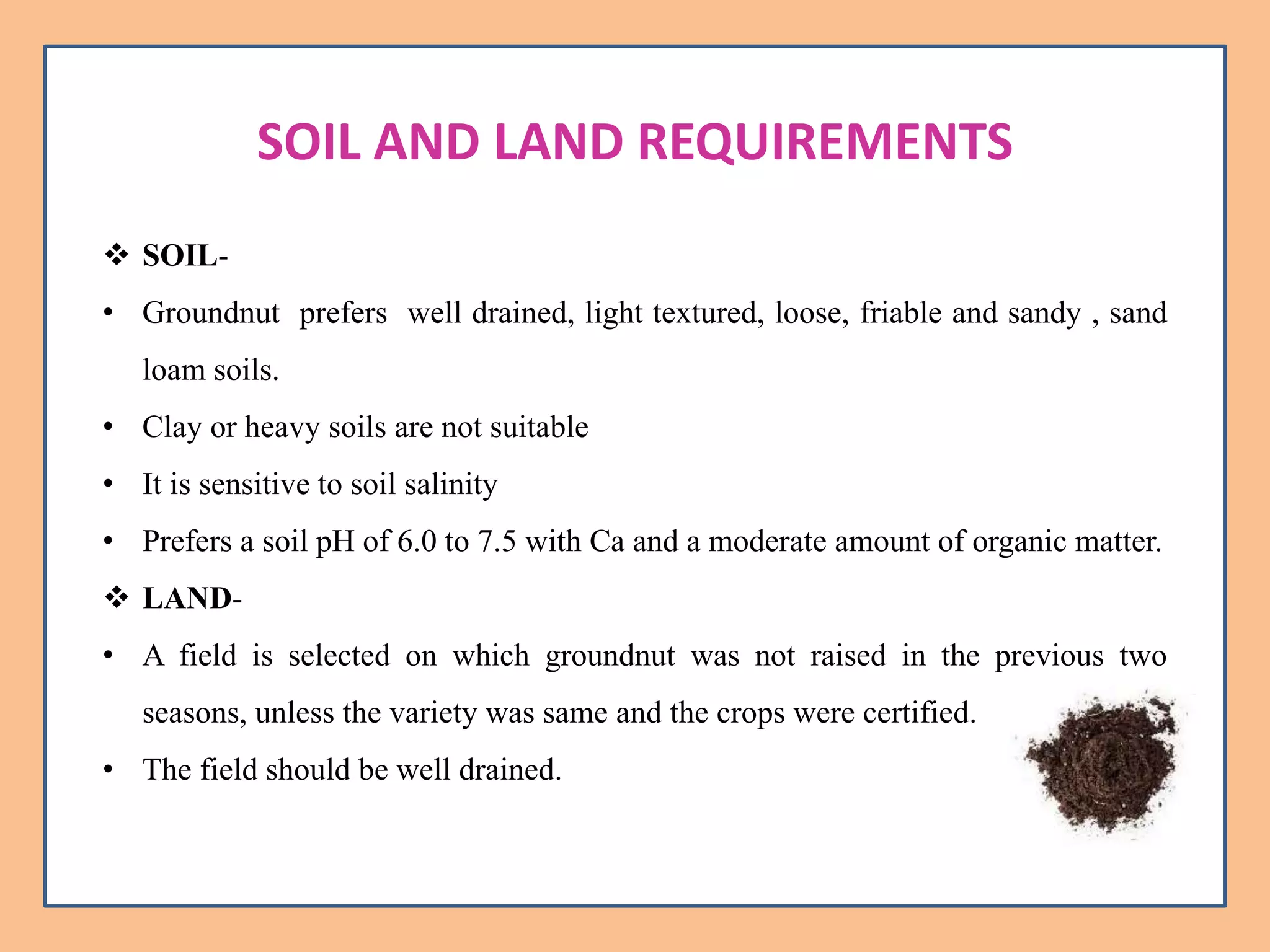 Seed Production in Groundnut ppt | PPTX