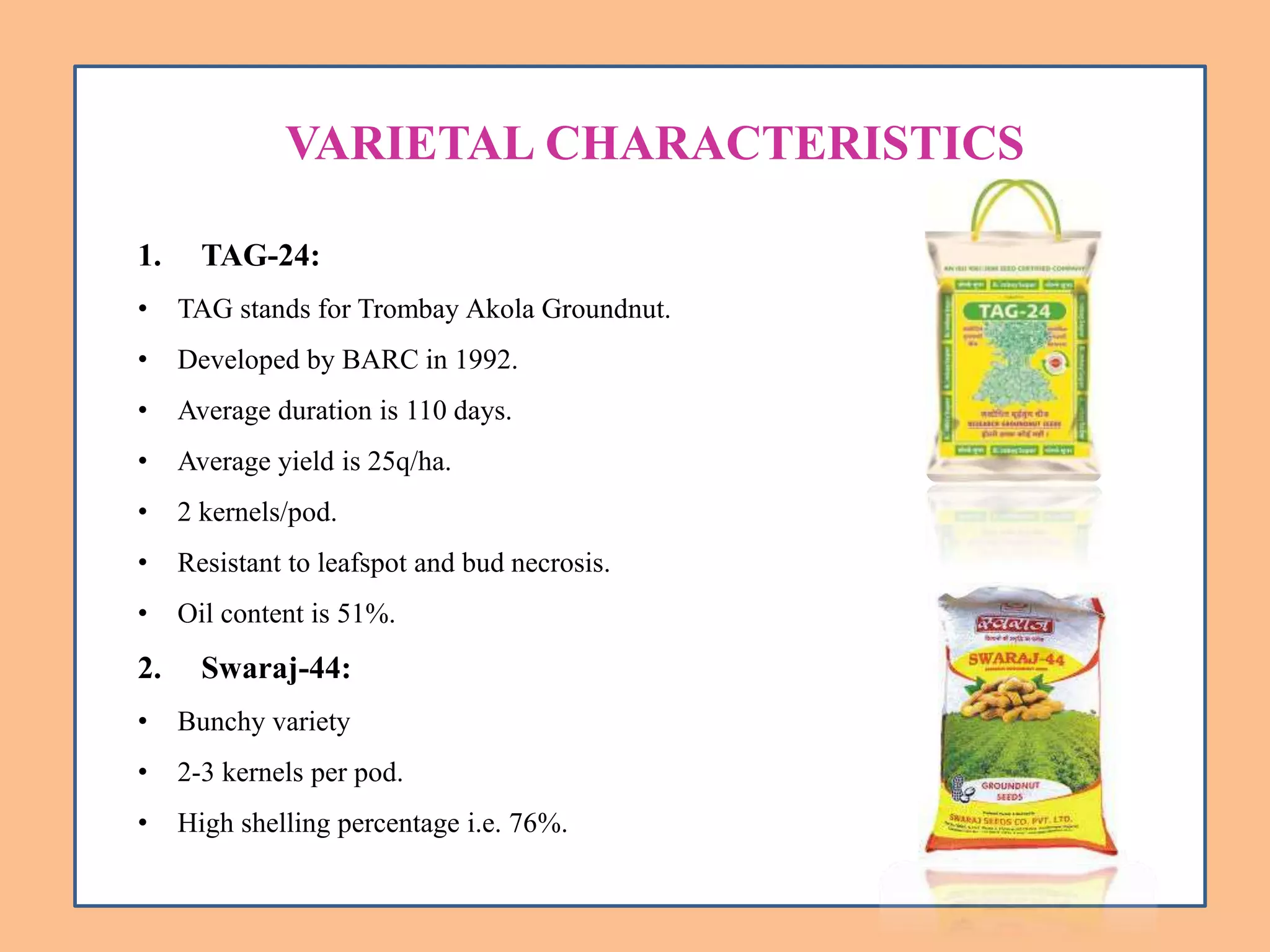 Seed Production in Groundnut ppt | PPTX