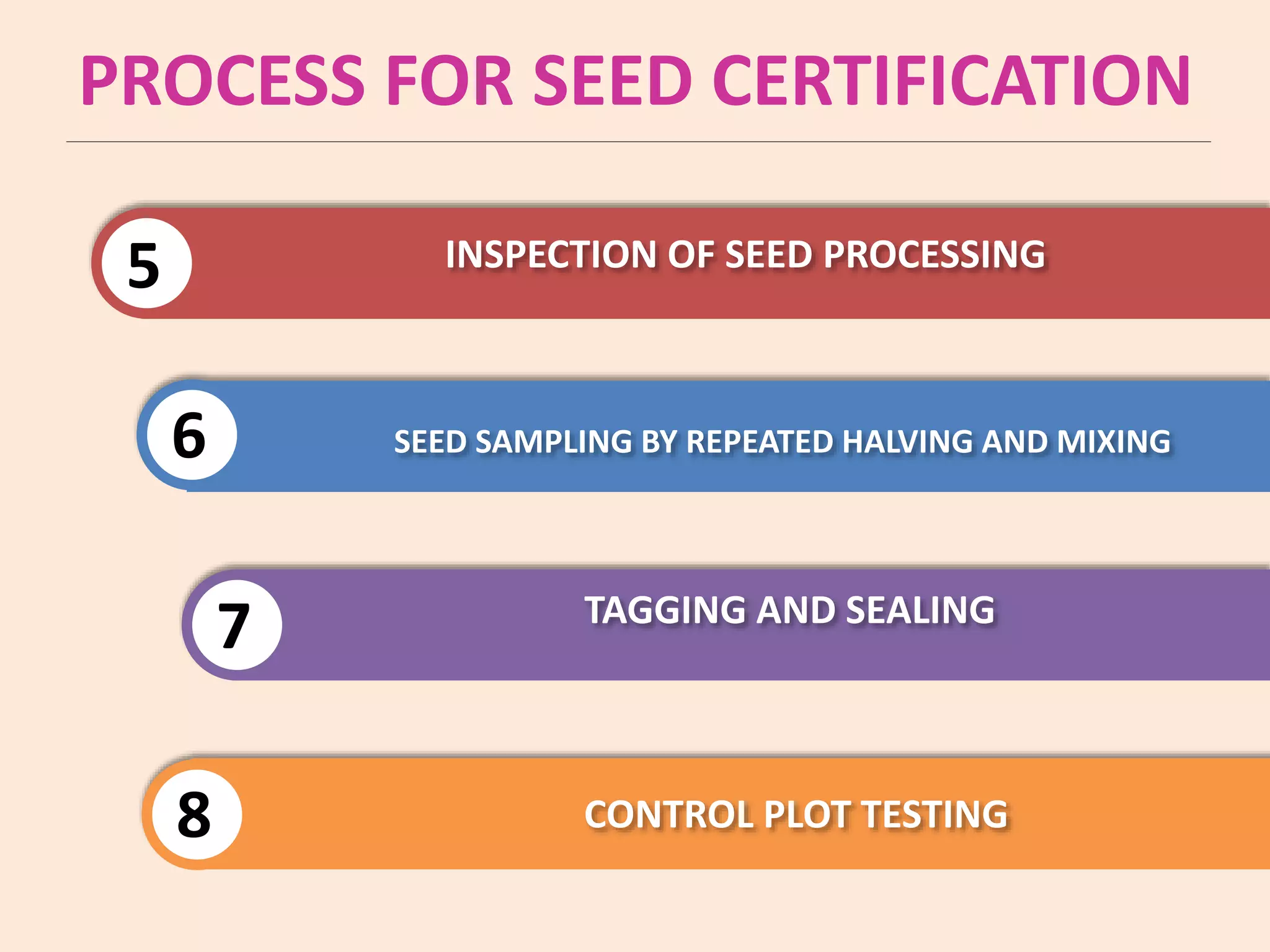 Seed Production in Groundnut ppt | PPTX