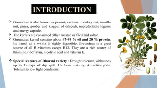 Practical Crop Production of Groundnut(Arachis hypogaea L.) | PPT