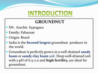 groundnut water management ppt 23.pptx