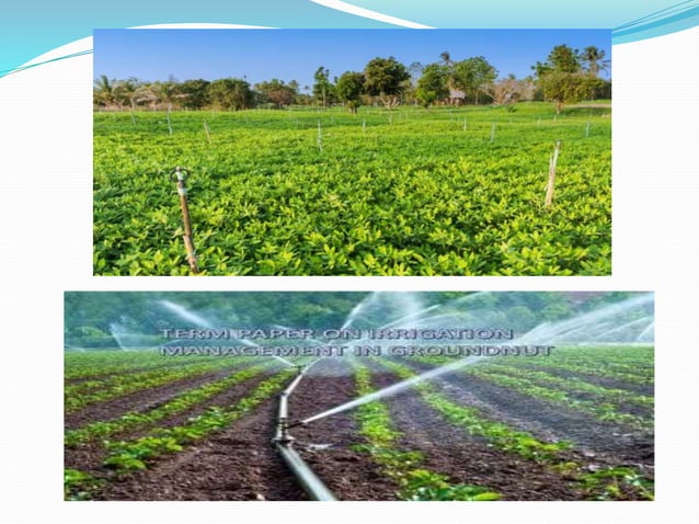 groundnut water management ppt 23.pptx