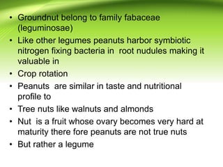 Groundnuts | PPTX