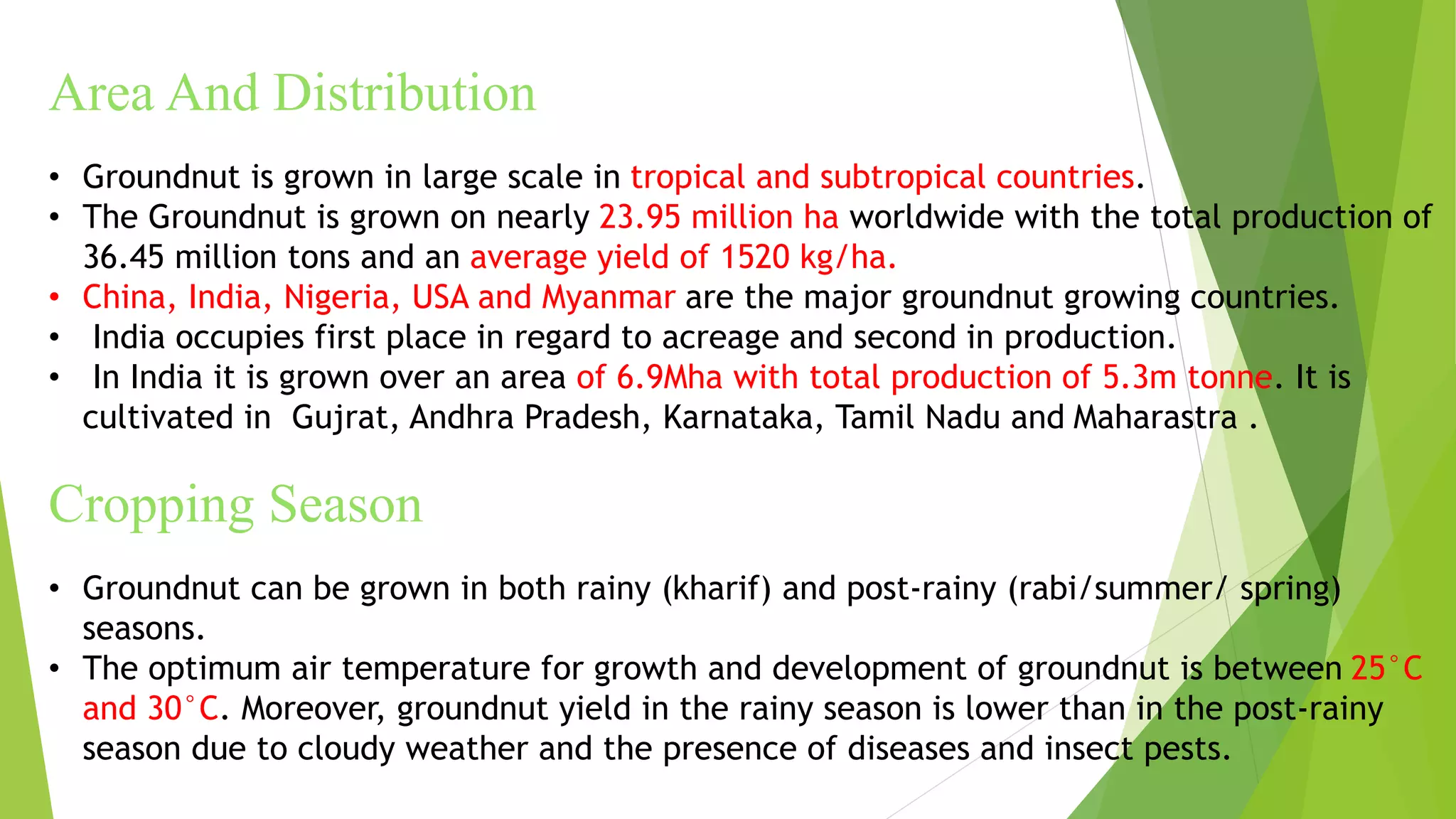 groundnut slide.pptx