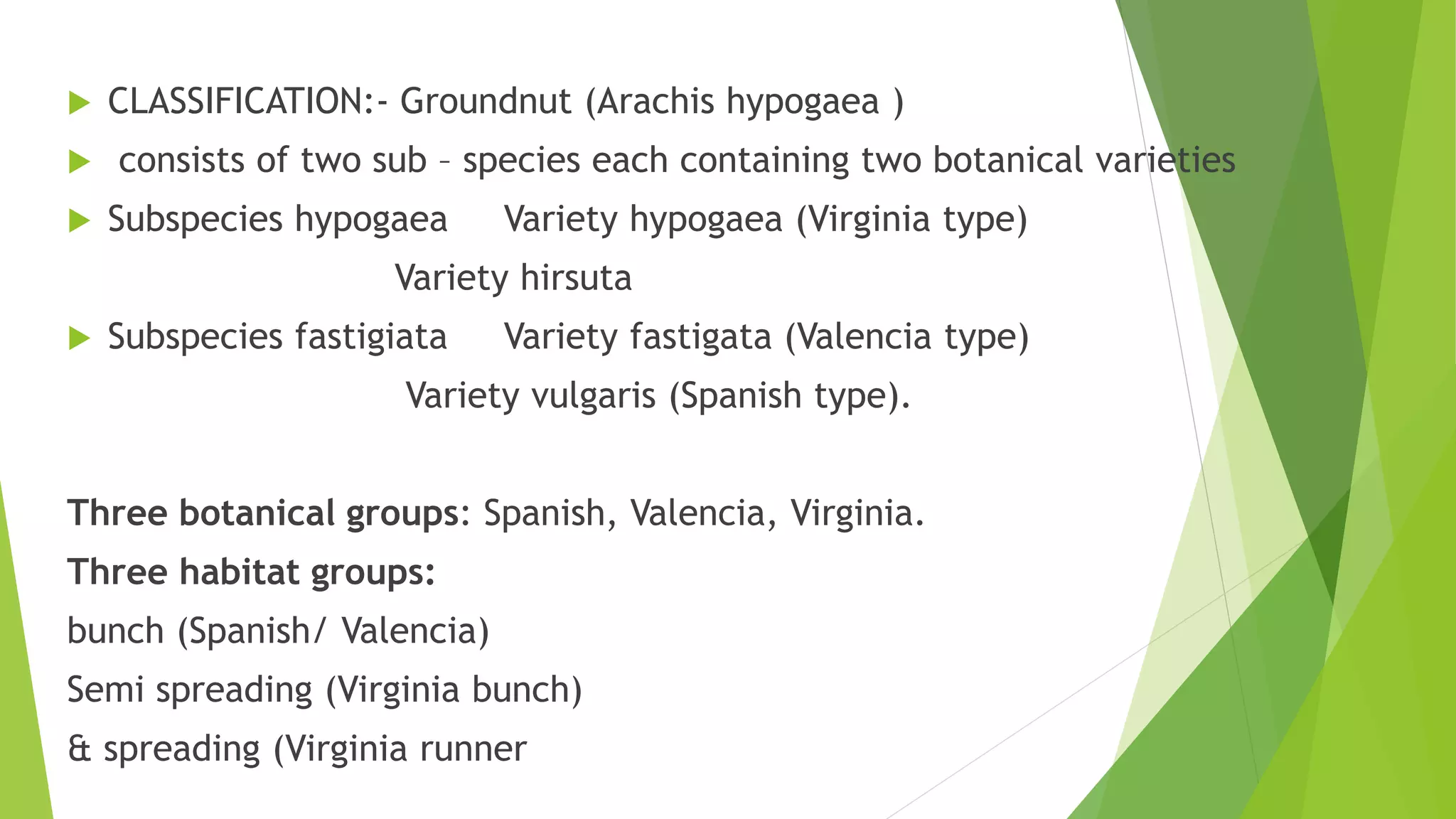 groundnut slide.pptx
