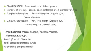groundnut slide.pptx