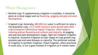 groundnut production and technology.pptx