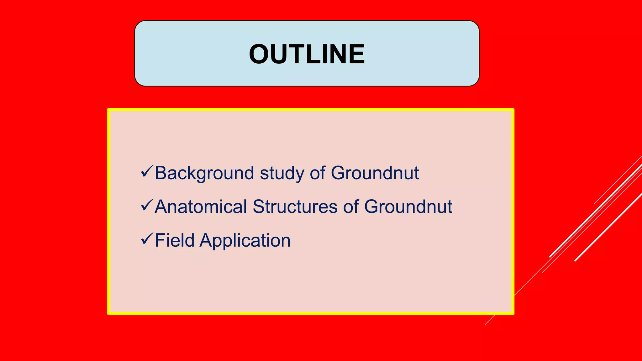 Groundnut stem anatomy.pptx | Gardening | Home & Garden