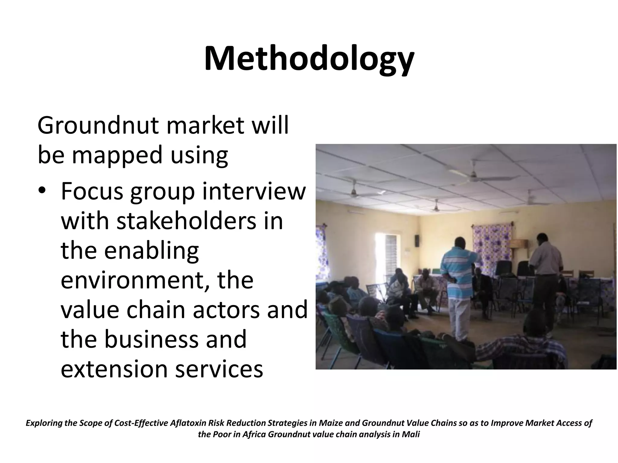 Groundnut value chain analysis in mali | PDF | Agriculture | Industries